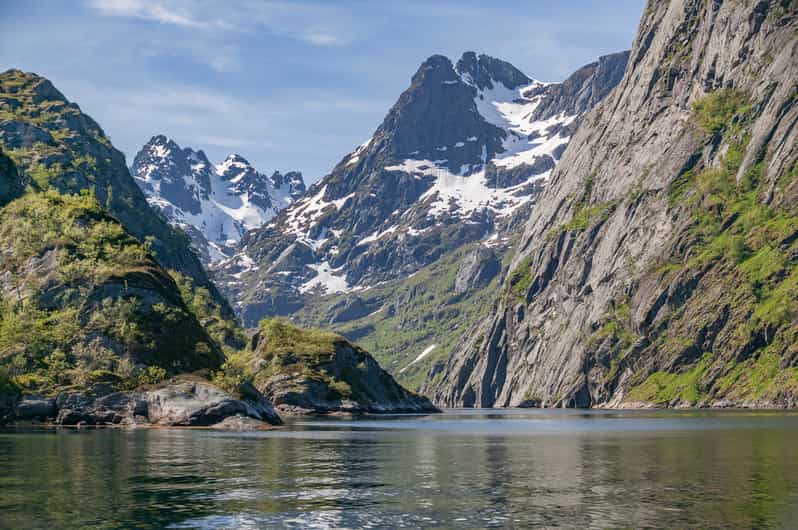 Lofoten Islands: Silent Trollfjord Cruise | GetYourGuide