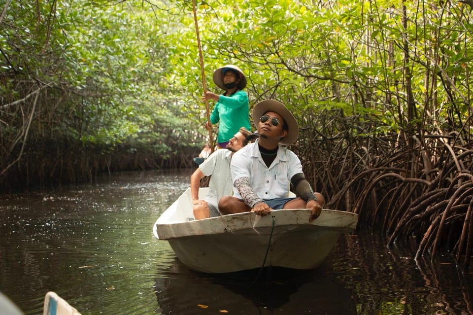 Ecotourism: Mangrove Reforestation & Tour | GetYourGuide