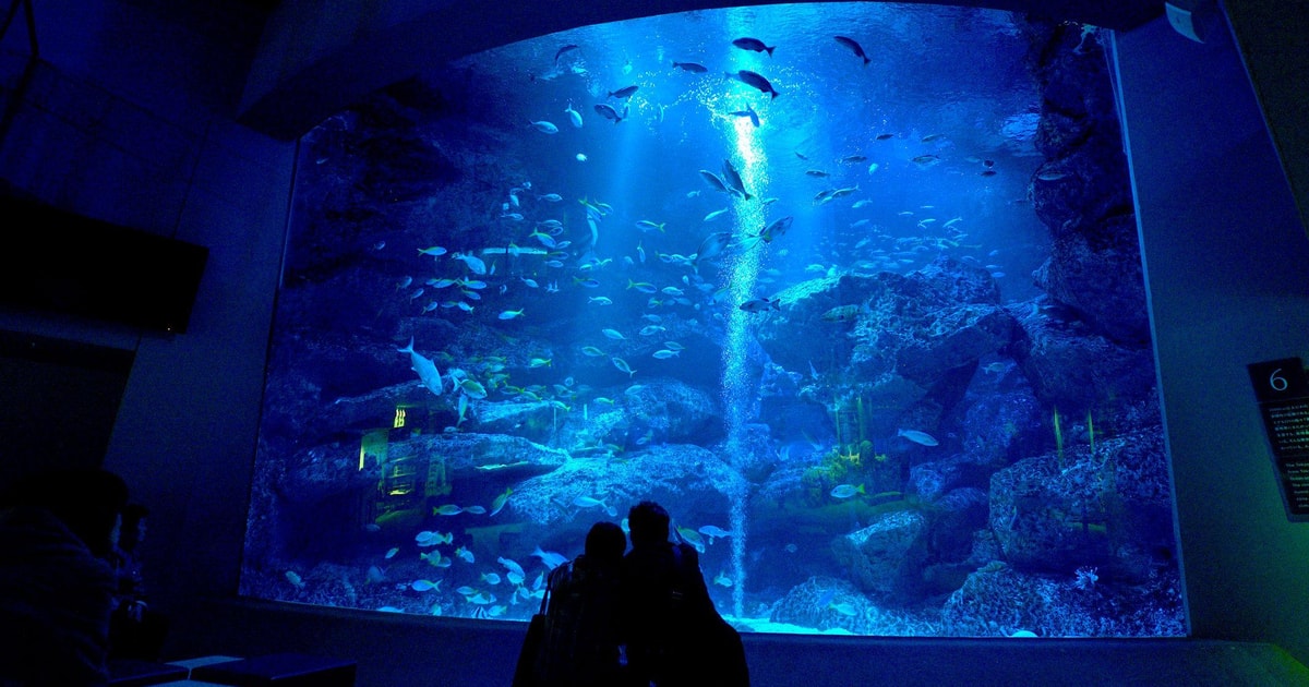 Tokio Ticket de entrada al Acuario Sumida | GetYourGuide