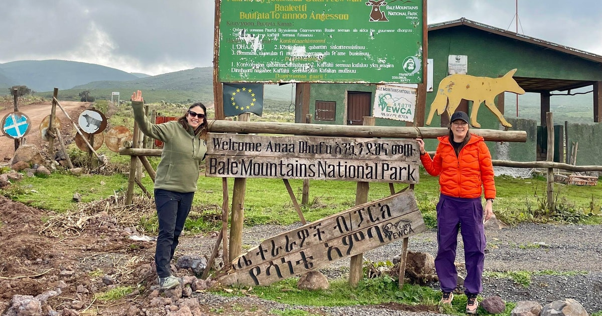 From Addis Ababa: 4-Day Bale Mountains Trekking Tour | GetYourGuide