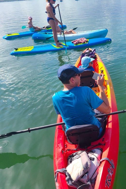Siesta Key: Mangrove Kayak or Paddleboard Tour | GetYourGuide
