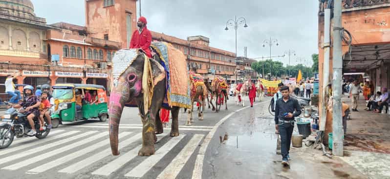 Jaipur: Explore Jaipur Car tour Describe by Local Guide | GetYourGuide