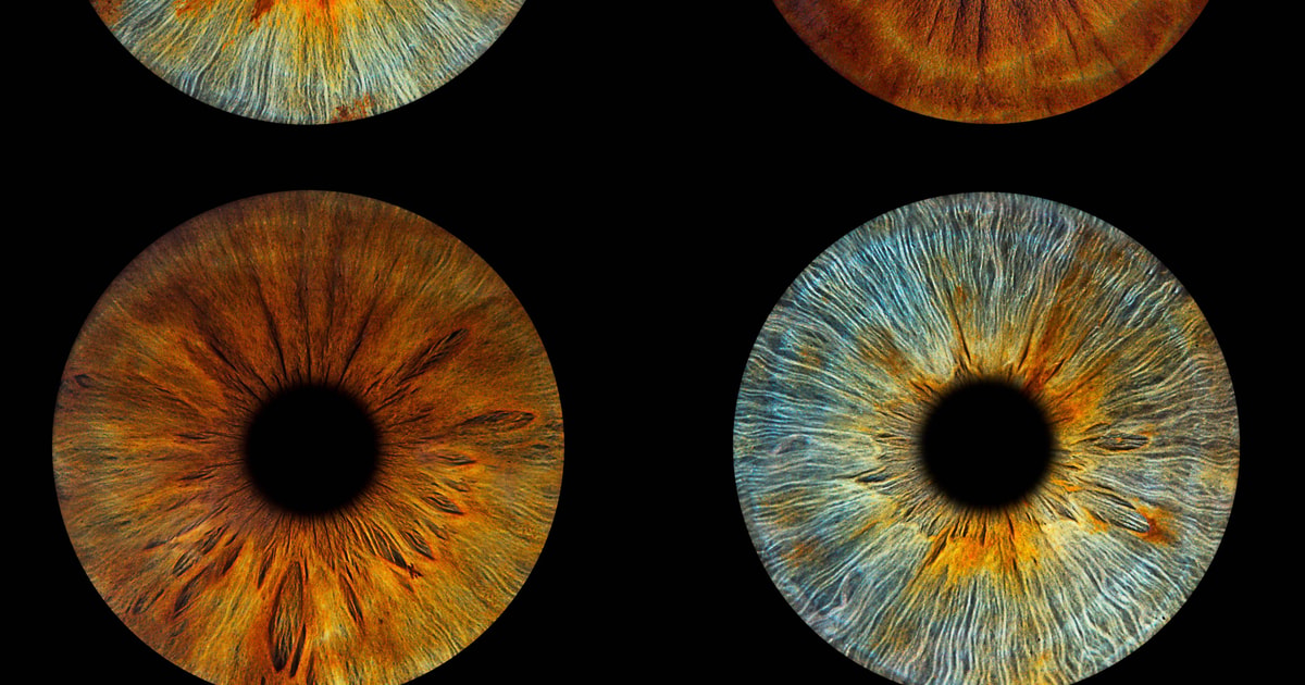 Paris: Professional Iris Photography with a Framed Print | GetYourGuide