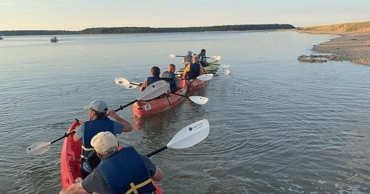 Cape Cod: Explorer Kayak Tour | GetYourGuide