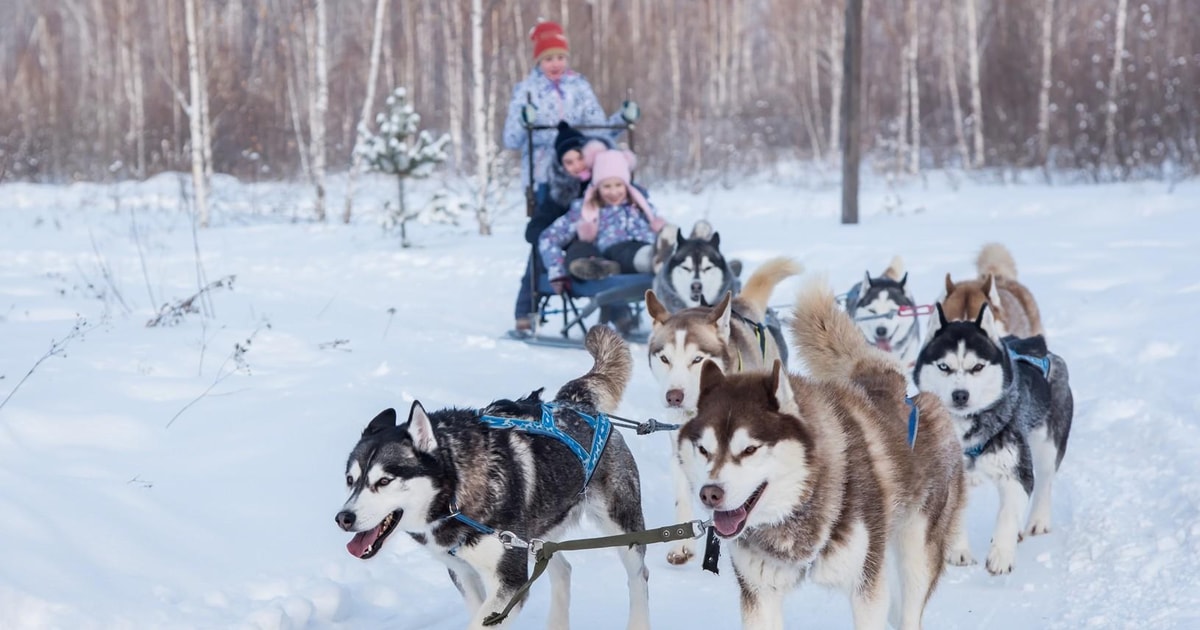 Rovaniemi: Santa Claus Village with Husky & Reindeer Ride | GetYourGuide