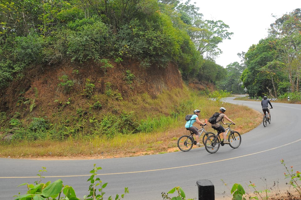 Kochi to Thattekkad/ Kallarkutty/ Munnar Tour (One Way Trip) | GetYourGuide