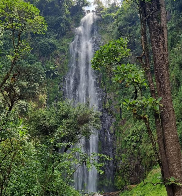 Materuni-Wasserfall-Wanderung (höchster Wasserfall im Norden Tansanias ...