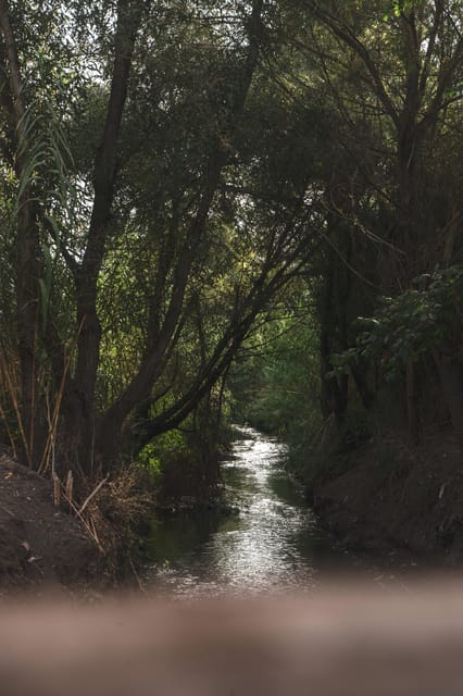 Caffarella Park: Rome's Secret Urban Hiking Paradise | GetYourGuide