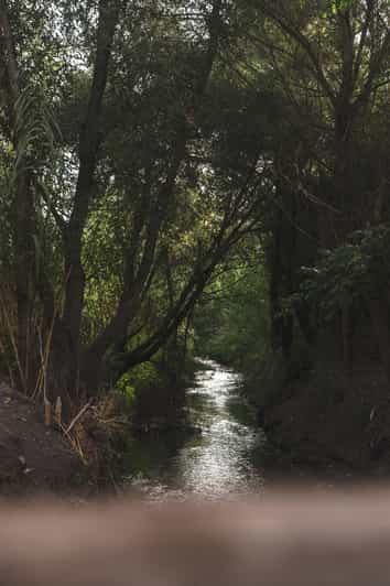 Caffarella Park: Rome's Secret Urban Hiking Paradise | GetYourGuide