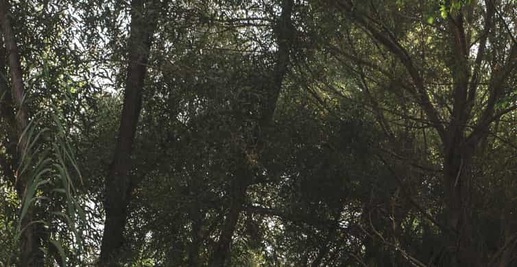 Caffarella Park: Rome's Secret Urban Hiking Paradise | GetYourGuide