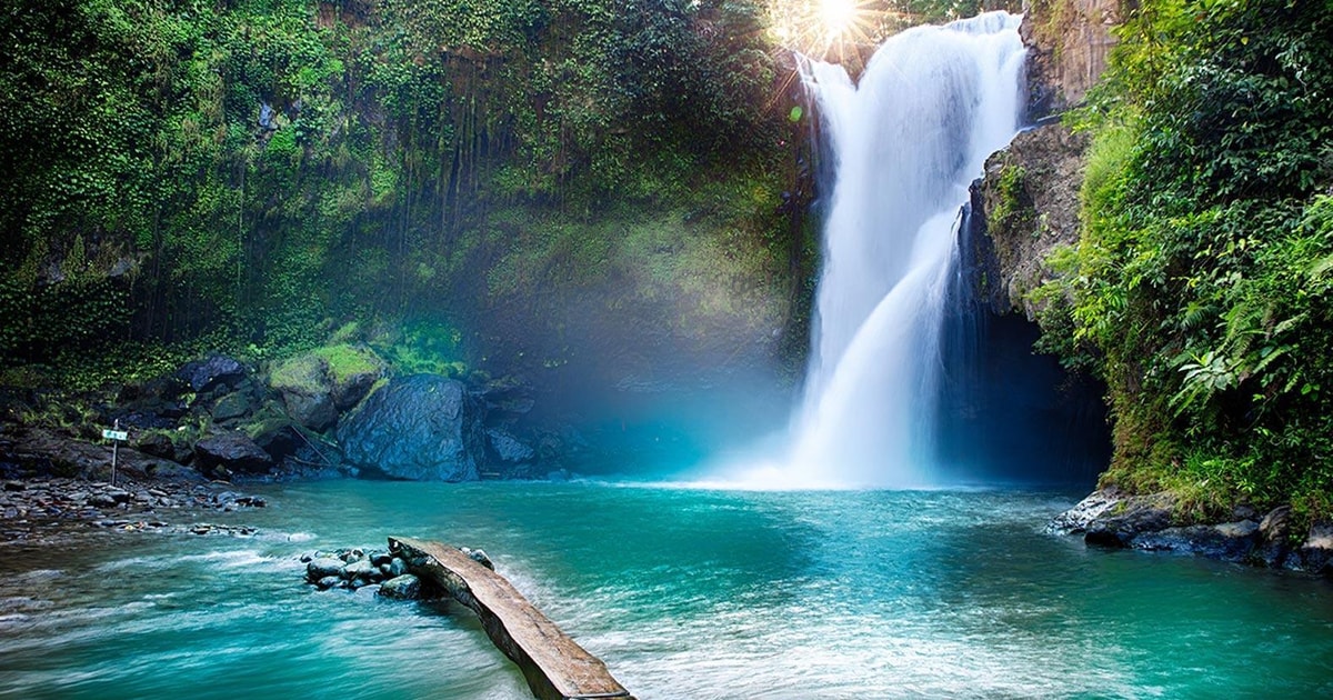 Full Day Ubud Culture, Volcano, Waterfall, Rice View, Swings | GetYourGuide
