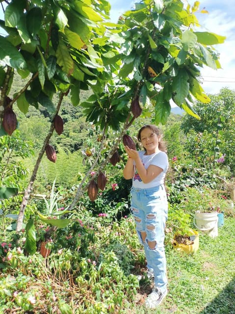Cocoa Tour - San Rafael Antioquia from Medellín | GetYourGuide