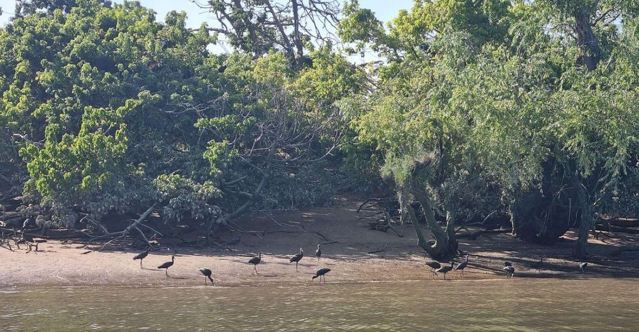 Valada do Ribatejo, Tejo River Birdwatching Experience, Valada, Portugal
