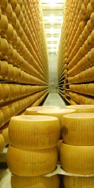 Parma: Traditional Cheese Factory Visit with Tasting | GetYourGuide