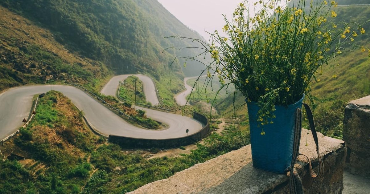 Ha Giang Loop: Easy Rider Motorbike Tour in 3D3N | GetYourGuide