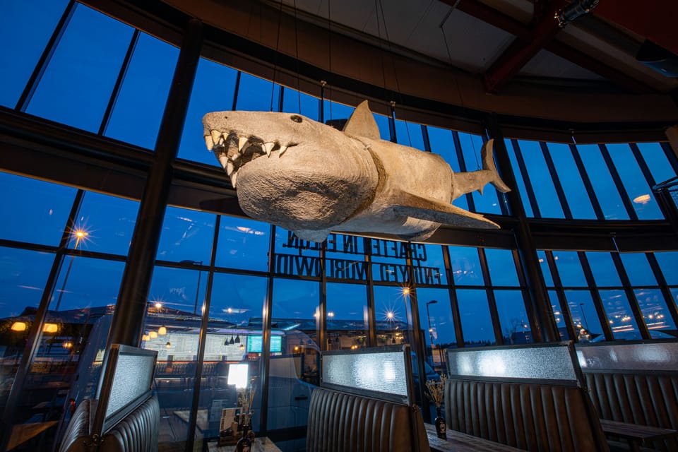 Ellon Brewery Tour: See The Home of Brewdog! | GetYourGuide