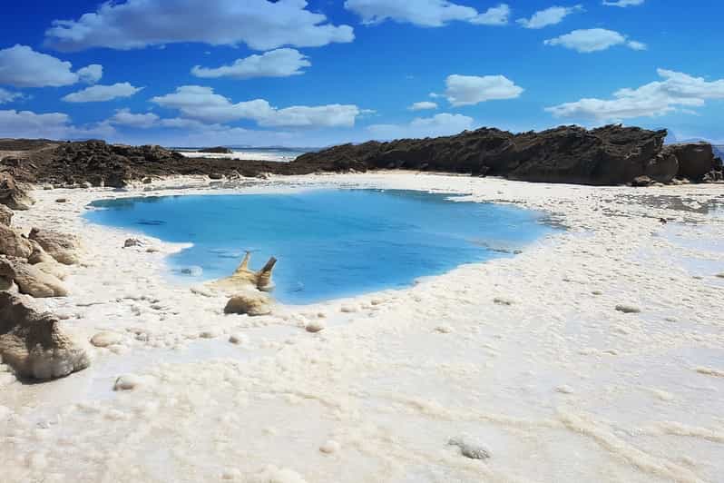 Z Jerozolimy: Morze Martwe, Jerycho i Jordan | GetYourGuide