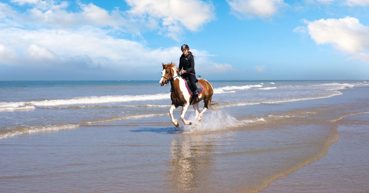 Soma Bay: Horse Riding Beach and Desert Tour With Transfer | GetYourGuide
