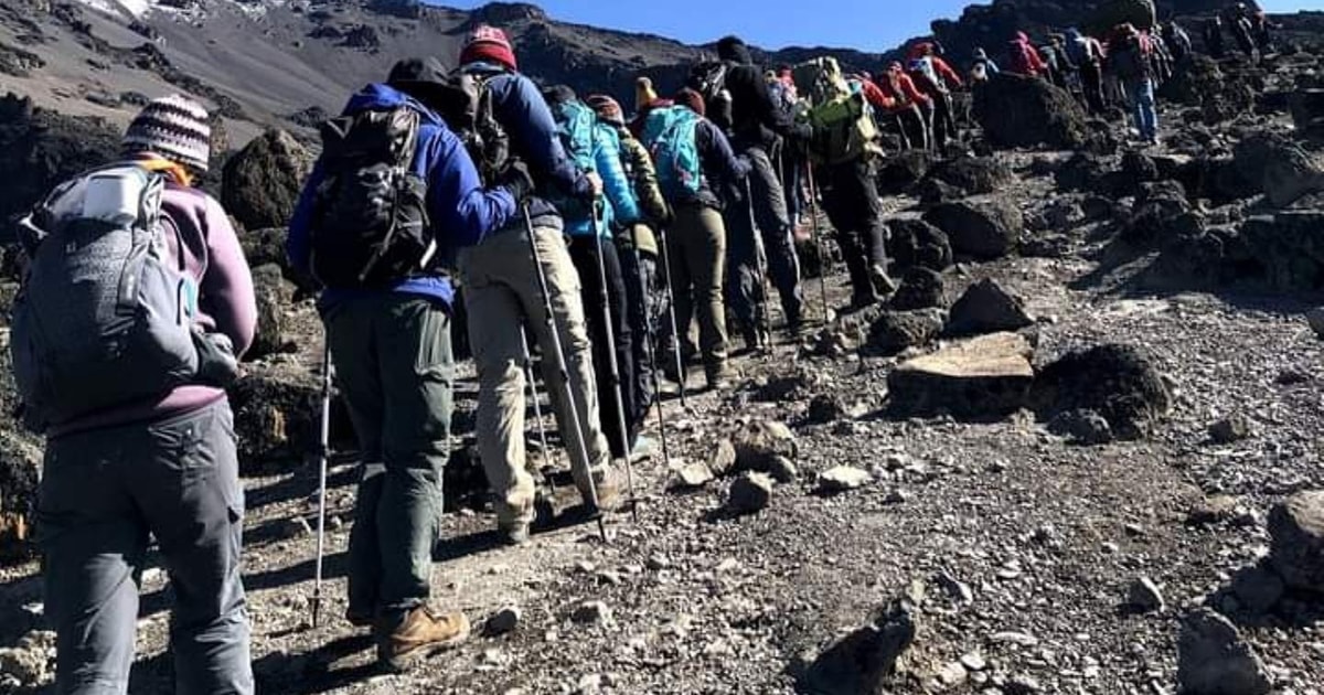 Tanzania: 7-Day Lemosho Route Kilimanjaro Climbing | GetYourGuide
