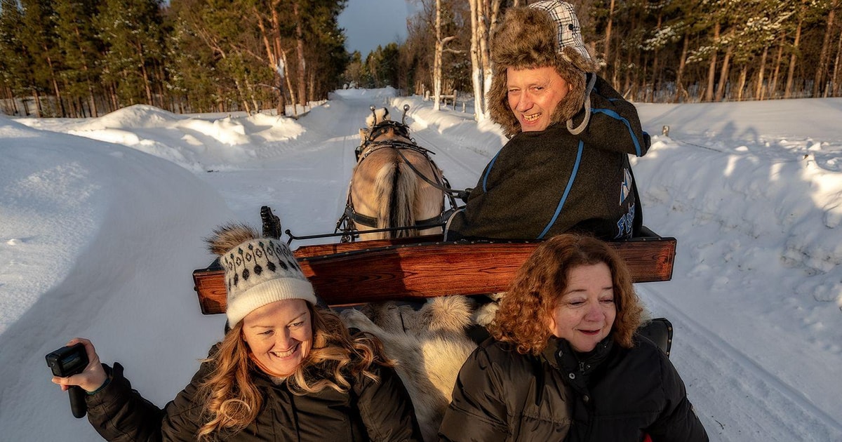 Alta: Sleigh or wagon Ride in the Arctic Countryside | GetYourGuide