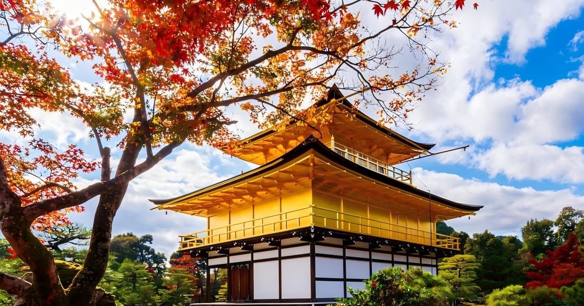 Osaka/Kyoto: Kyoto and Uji UNESCO Word Heritages Bus Tour | GetYourGuide