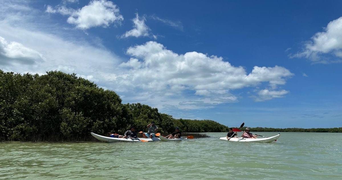 Chuburna ISLA COLUMPIOS Private Tour! | GetYourGuide