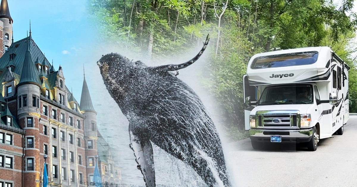 Explore Quebec: 5-Day Motorhome and Whale Watching Adventure | GetYourGuide