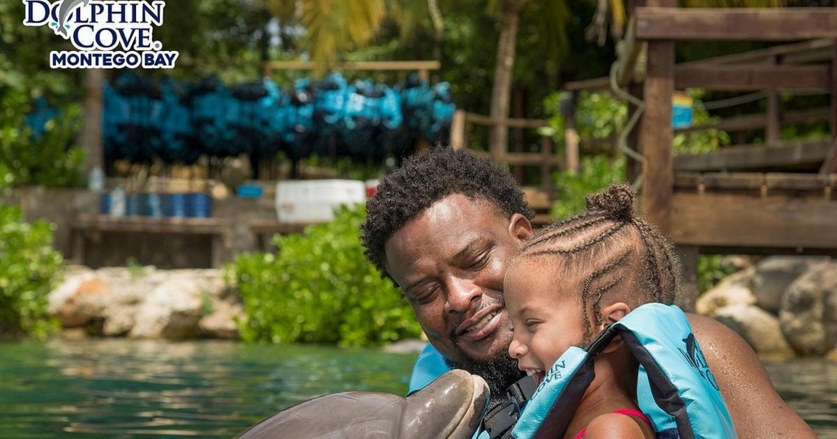Dolphin cove Adventure | GetYourGuide