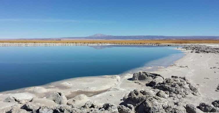 Cejar Lagoon, Eyes of the Salt Flat and Tebinquinche Lagoon | GetYourGuide