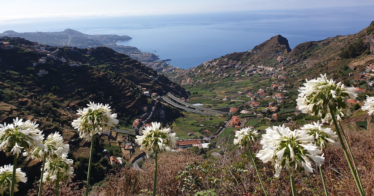 Funchal : Levada do Norte - Guided walk with transport | GetYourGuide