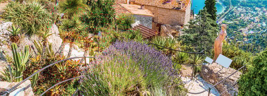 The BEST Nice Tours and Things to Do in 2022 - FREE Cancellation ...