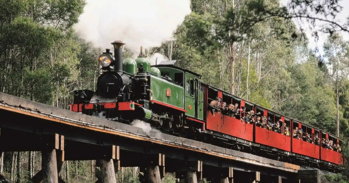 Melbourne: Puffing Billy and Moonlit Sanctuary Day Tour | GetYourGuide