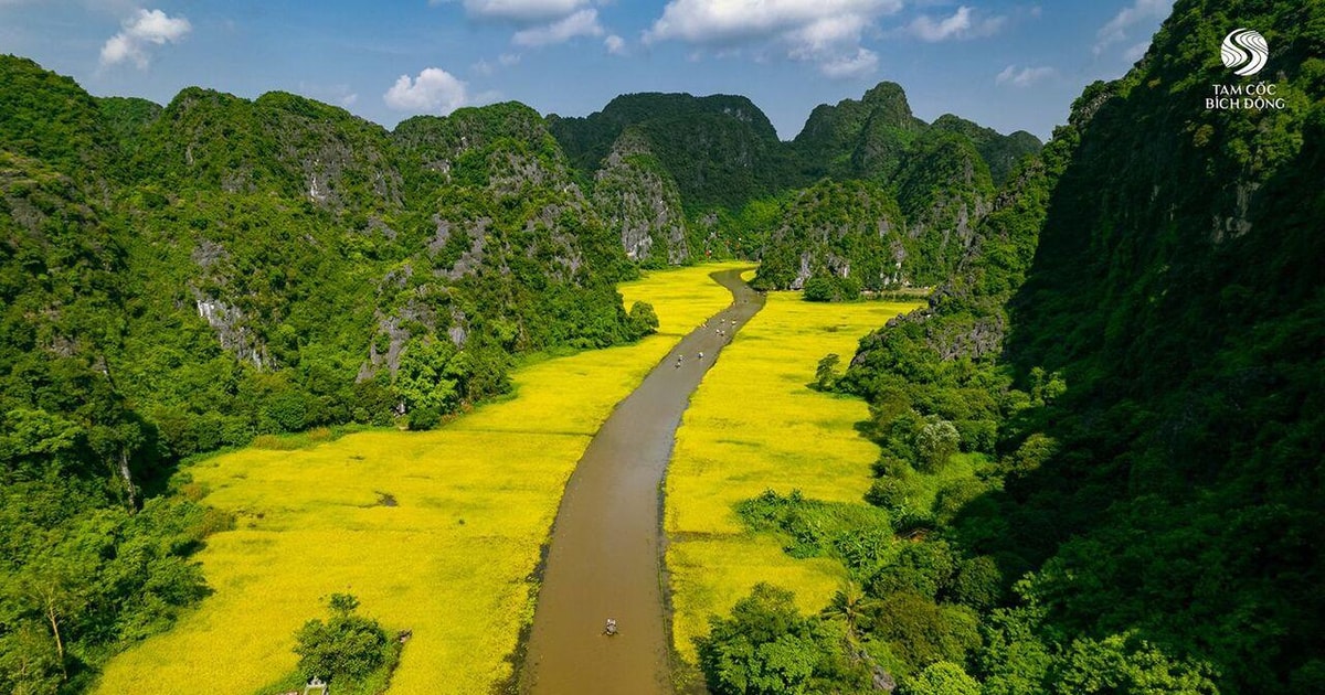 From Hanoi Visit Ninh Binh, See Animals In Cuc Phuong 2 Days | GetYourGuide