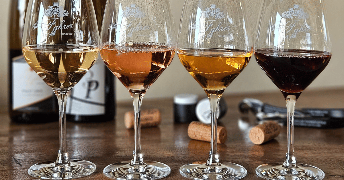 Alsacia: Visita a Bodegas y Cata | GetYourGuide