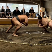 Tokyo: Authentic Sumo Morning Practice | GetYourGuide