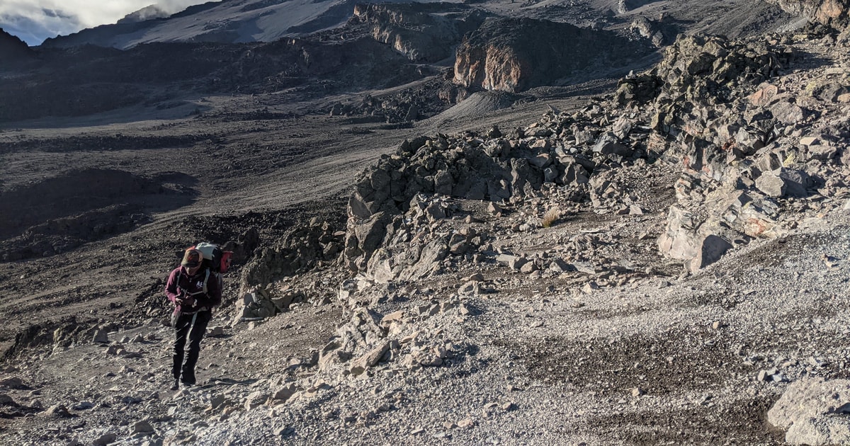 7 Days Kilimanjaro Climb Rongai Route | GetYourGuide