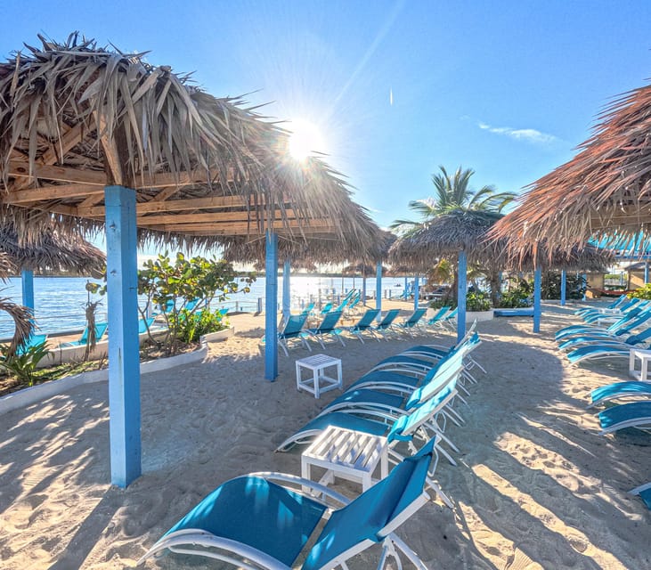 Nassau: Sun Cay Day Trip, Snorkel, Iguana Encounter, & Lunch | GetYourGuide