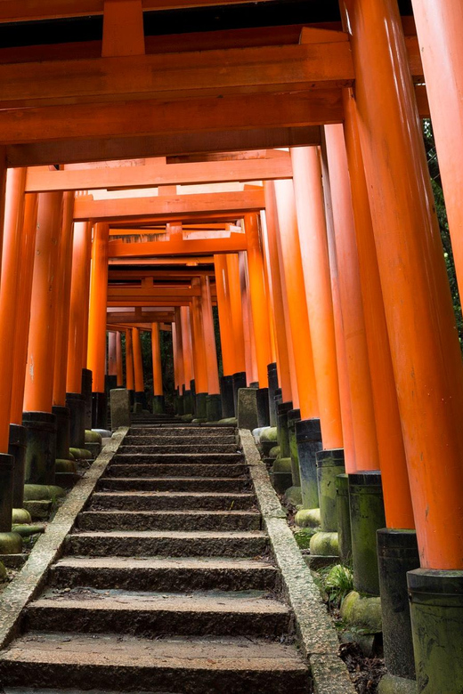 Kyoto: Kiyomizu-dera & Fushimi Inari Half-Day Tour | GetYourGuide