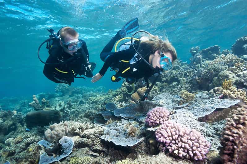 Cairns: Outer Great Barrier Reef Pontoon with Activities | GetYourGuide