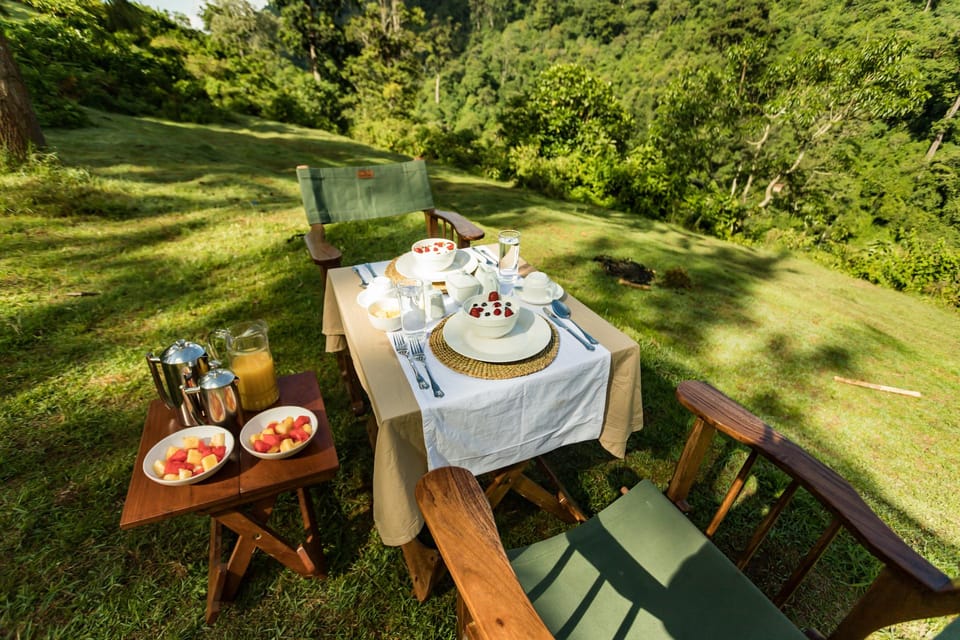 Arusha: Meru Forest Reserve waterfall hiking and camping | GetYourGuide