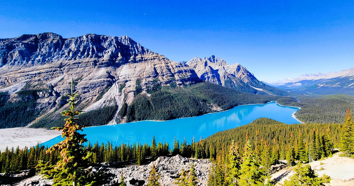 Calgary: Gletsjers, bergen, meren, Canmore en Banff Tour | GetYourGuide
