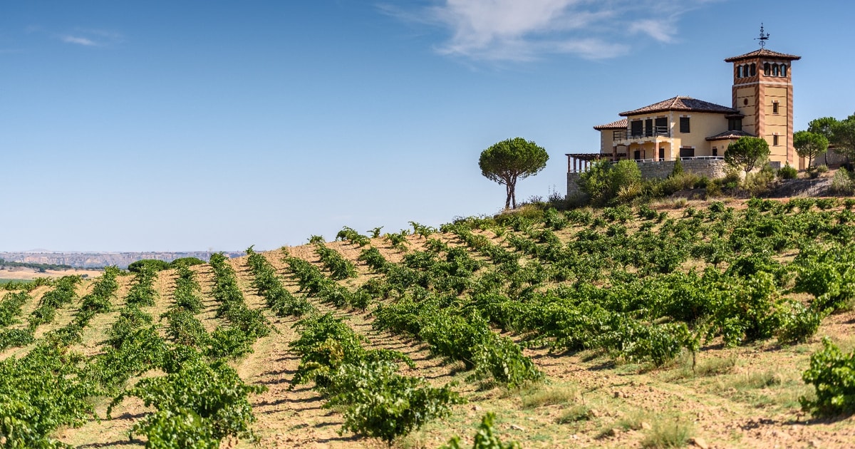 Toro: Piedra Winery Tour & Oak barrel Tastings | GetYourGuide