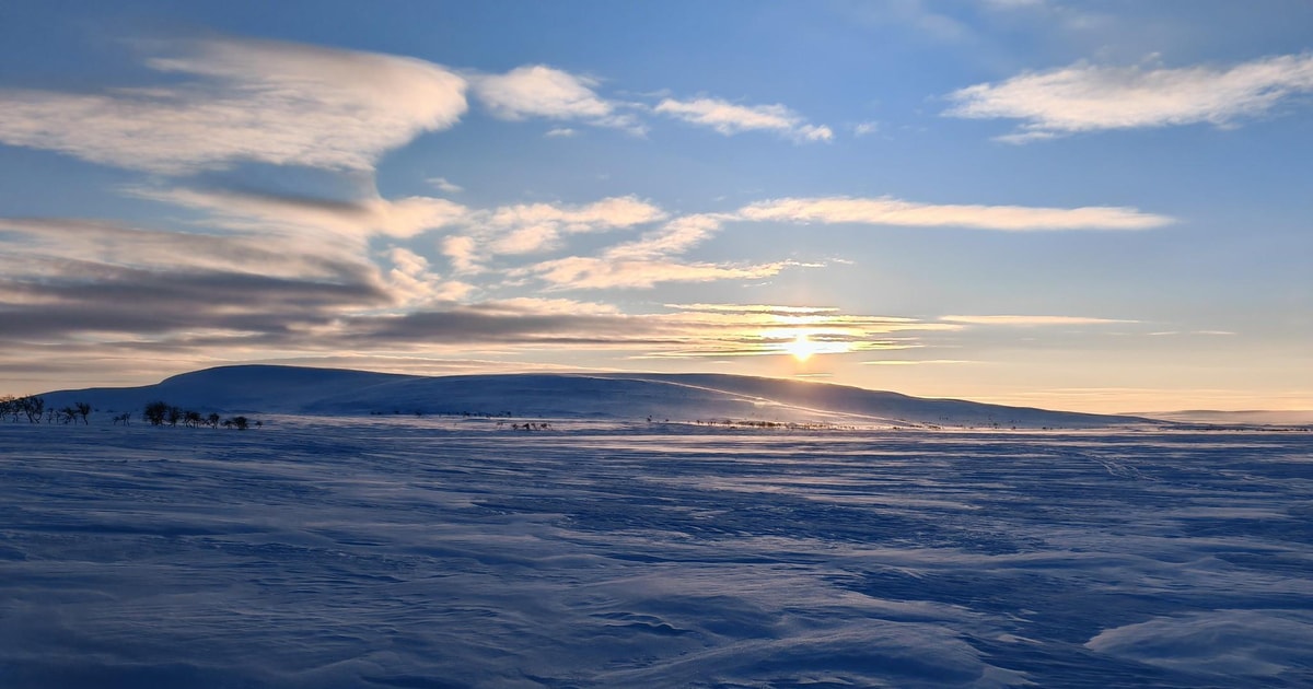 Nuorgam: Tour by skis or snowshoes to wilderness | GetYourGuide