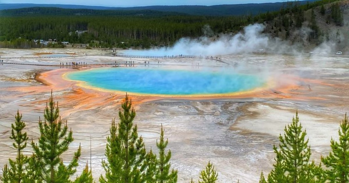 Yellowstone, MT: Lower Loop Private Tour | GetYourGuide