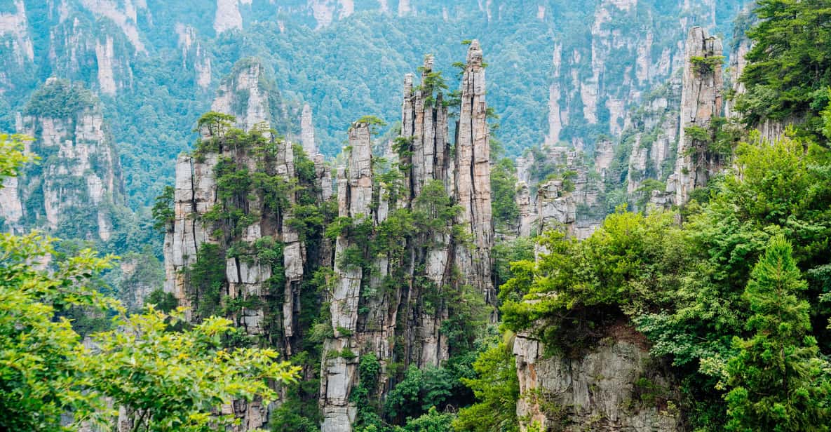 Wunderbare Zhangjiajie Tagestour mit National Forest Park | GetYourGuide