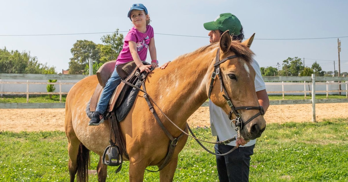 First horseback riding lesson in Moita | GetYourGuide