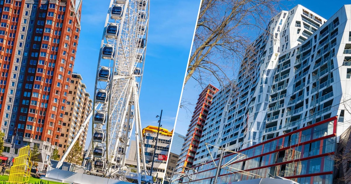 Visite à pied des points forts et de l'histoire de Rotterdam | GetYourGuide