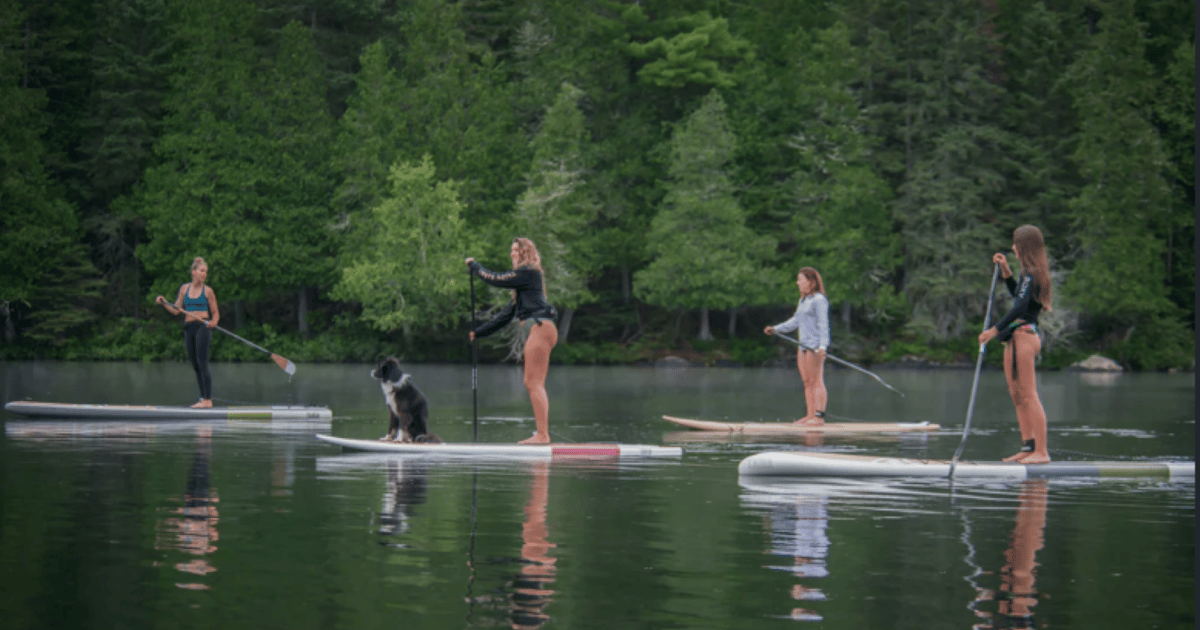 Hampbden: Full Day Paddleboard Rental & Tour | GetYourGuide