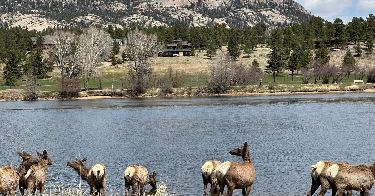 A Ruttin' Good Time | GetYourGuide