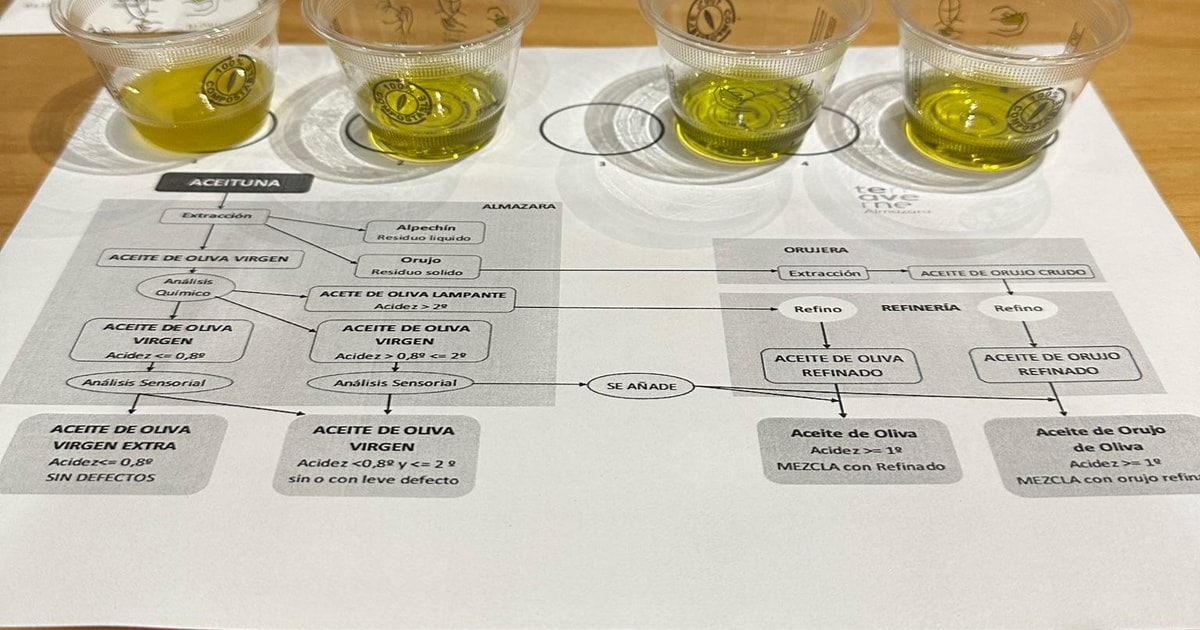 Olive Oil Tasting In Sevilla | GetYourGuide